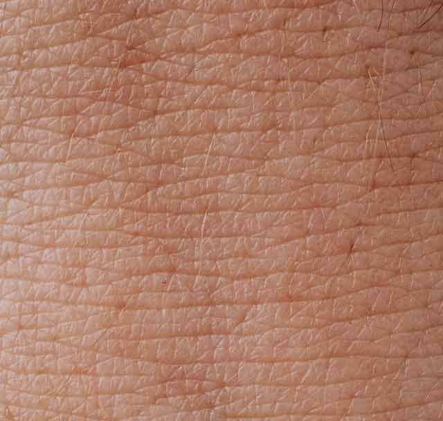 50 body parts name hindi and english - शरीर के अंगों के नाम