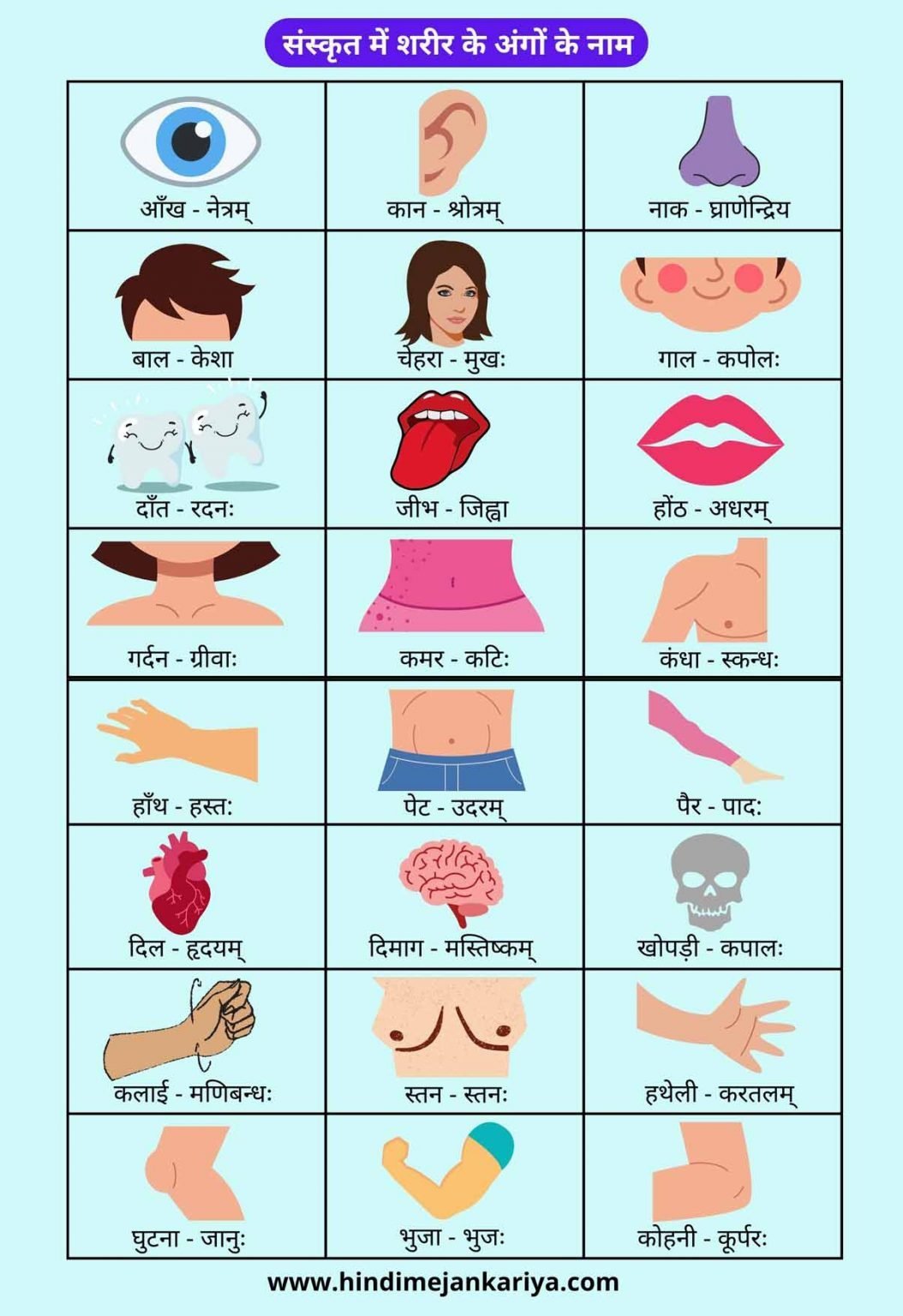 Body Part Name In Sanskrit 